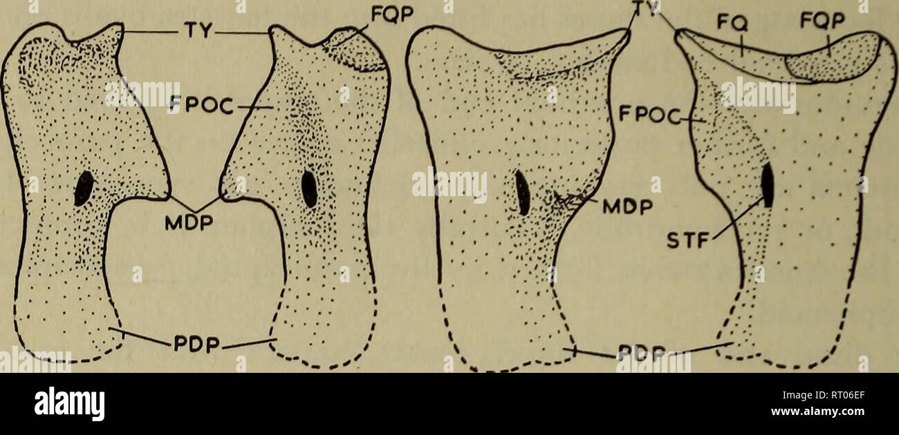 . Annals of the South African Museum. Annale van die Suid-Afrikaanse ...