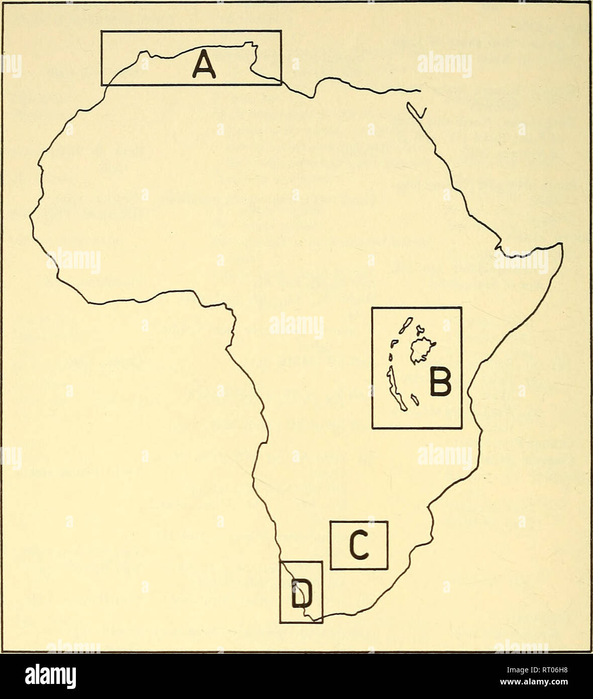 . Annals of the South African Museum = Annale van die Suid-Afrikaanse ...