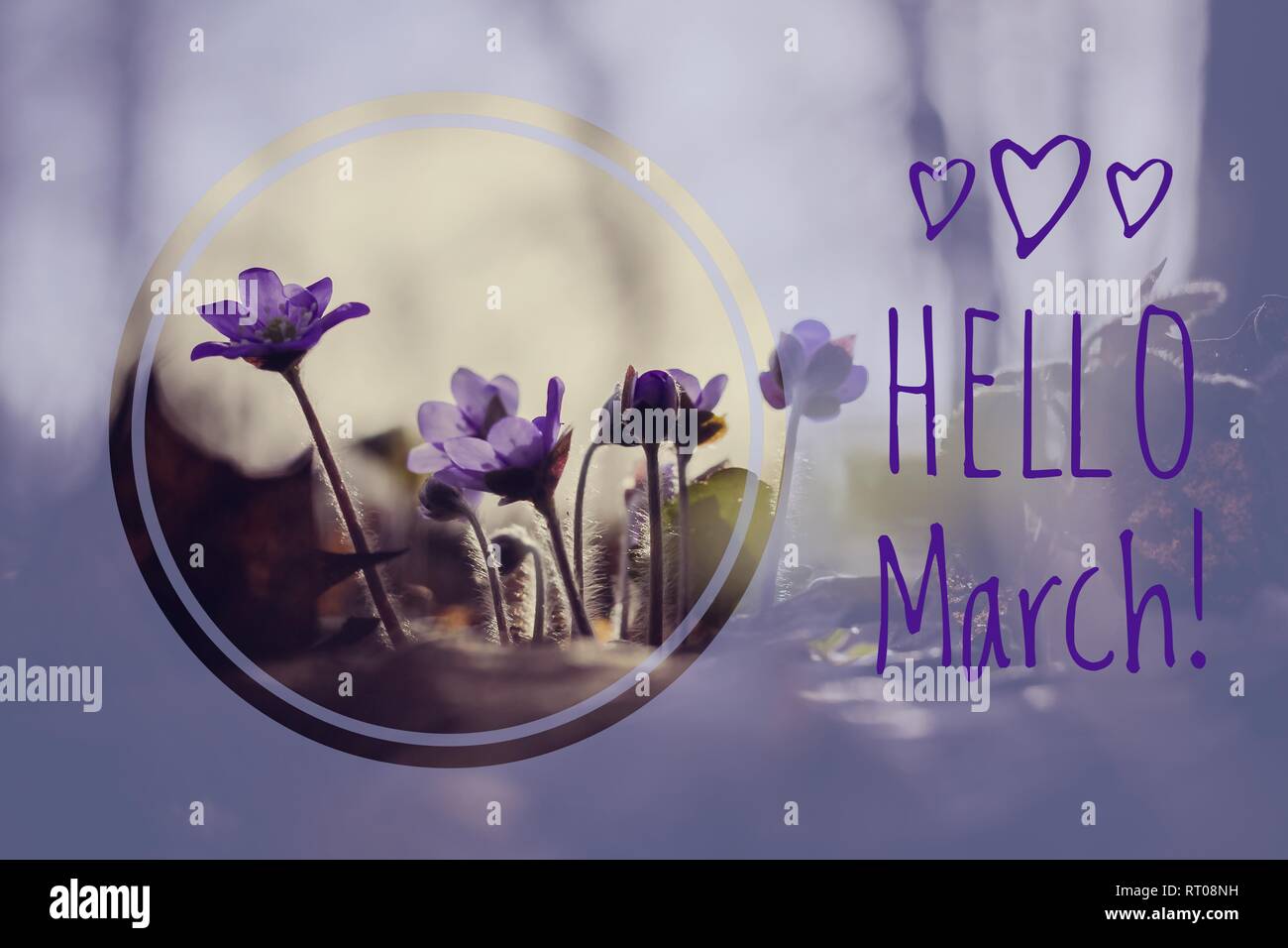 Hello march hi-res stock photography and images - Alamy