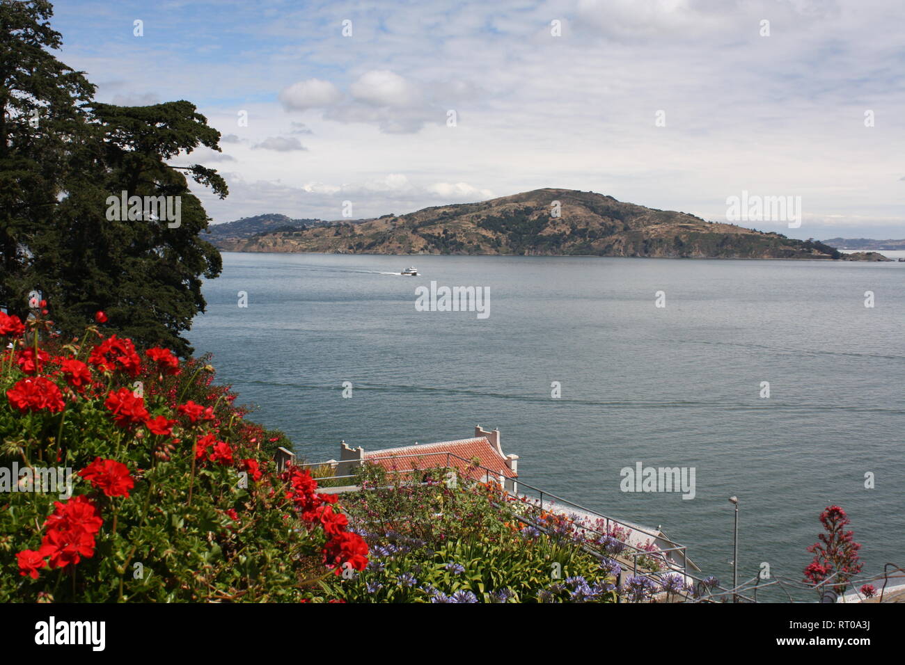 Beautiful landscape from on top of a hill covered in nature and ...