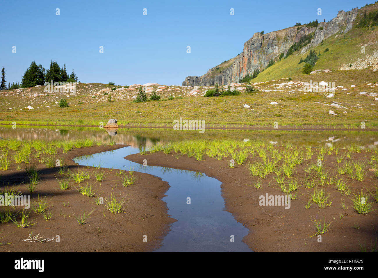 WA15795-00...WASHINGTON - Small lake along the unsigned route to Tyee ...
