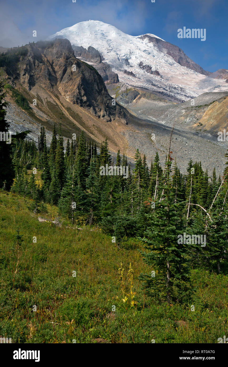 WA15801-00...WASHINGTON - Mount Rainier and the Emmons Glacier viewed ...