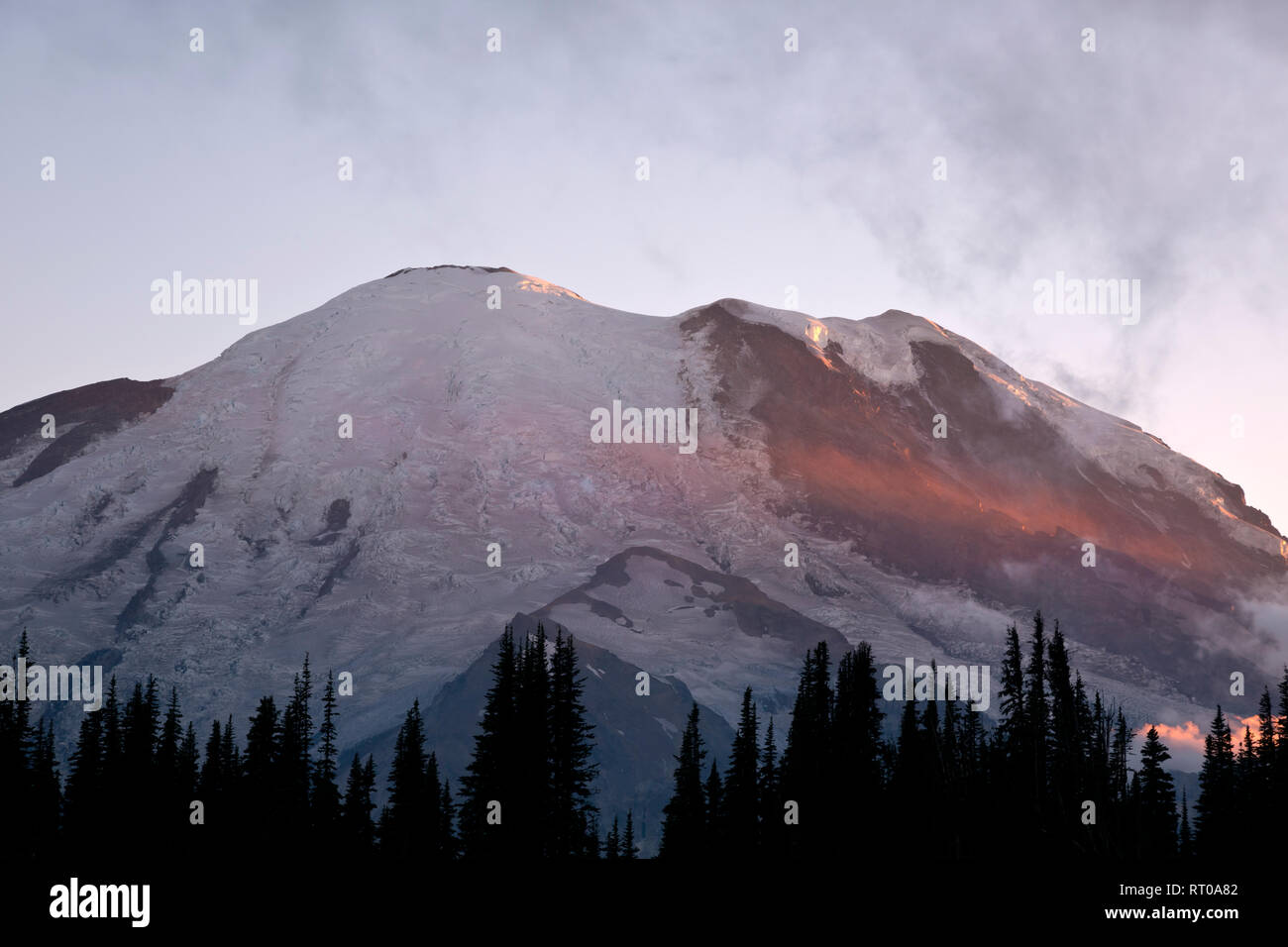 WA15809-00...WASHINGTON - Sunset on Mount Rainier from the Sunrise area ...