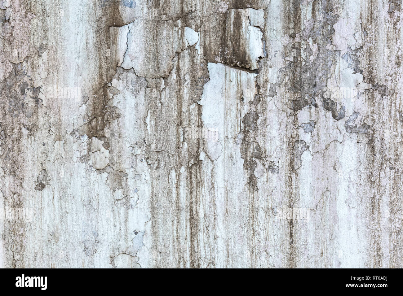 weathered dirty white wall texture with cracked and flaked paint Stock ...