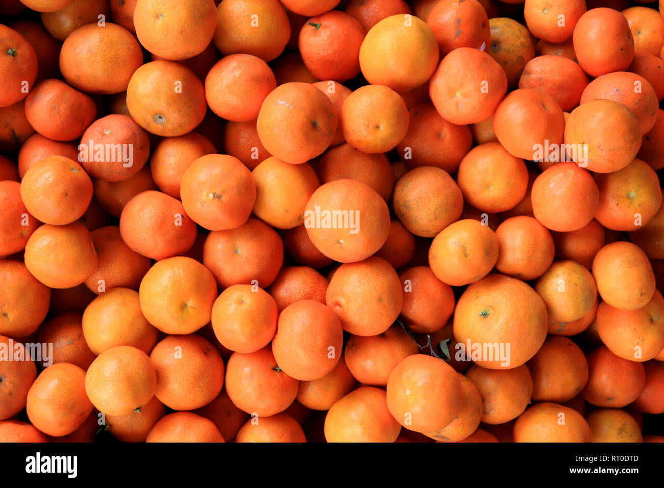 Tangerines texture. Mandarin showcase background Stock Photo - Alamy