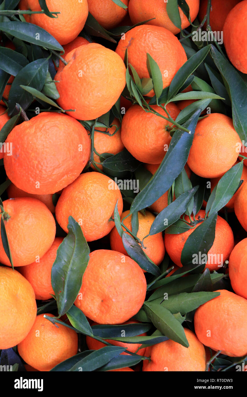 Lots of tangerines showcase texture. Mandarins with leaves background ...