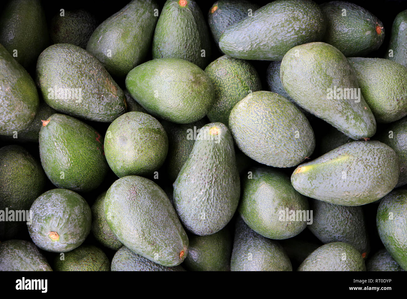 Many avocado texture. Avocado showcase background Stock Photo - Alamy