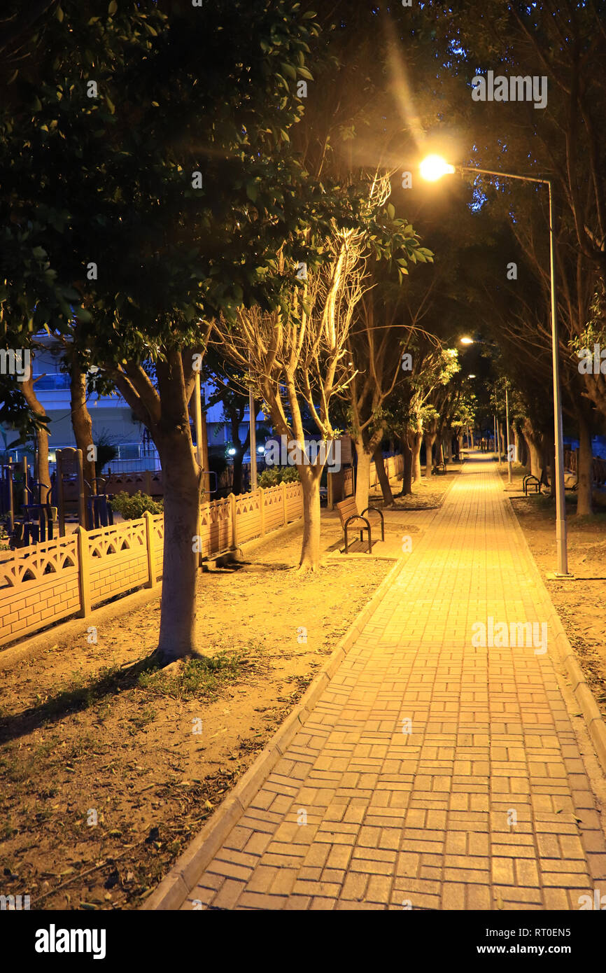 Walkway in the park alley with trees and light from the lanterns Stock ...