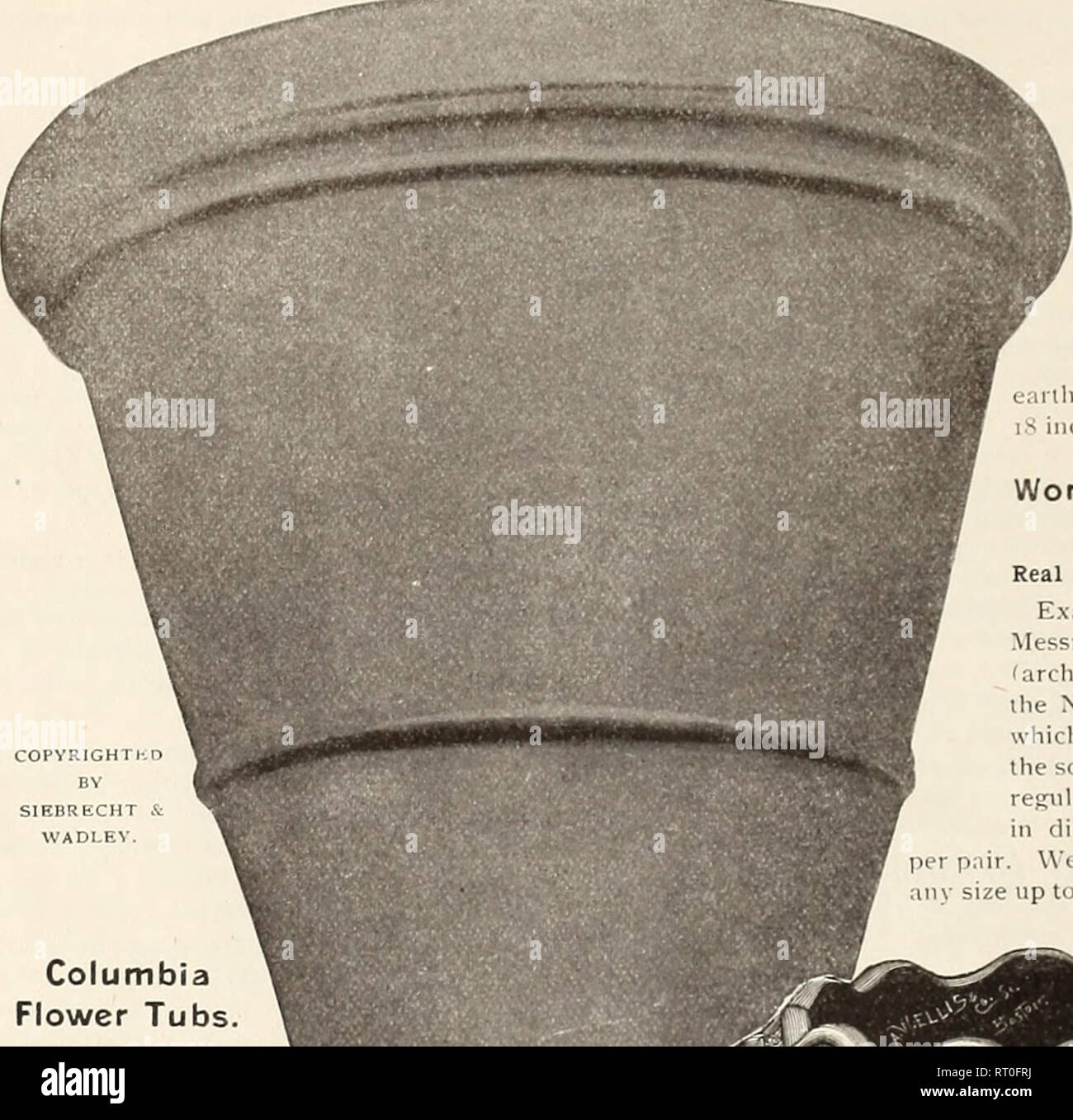 Jardiniere vase hi-res stock photography and images - Alamy