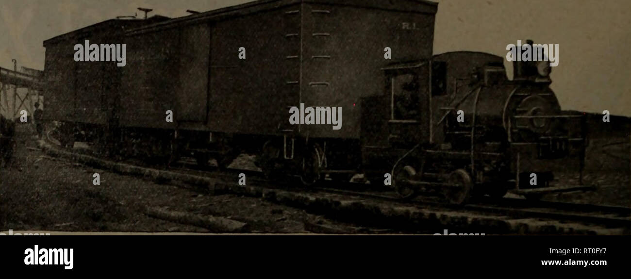 . Canadian forest industries July-December 1919. Lumbering; Forests and ...