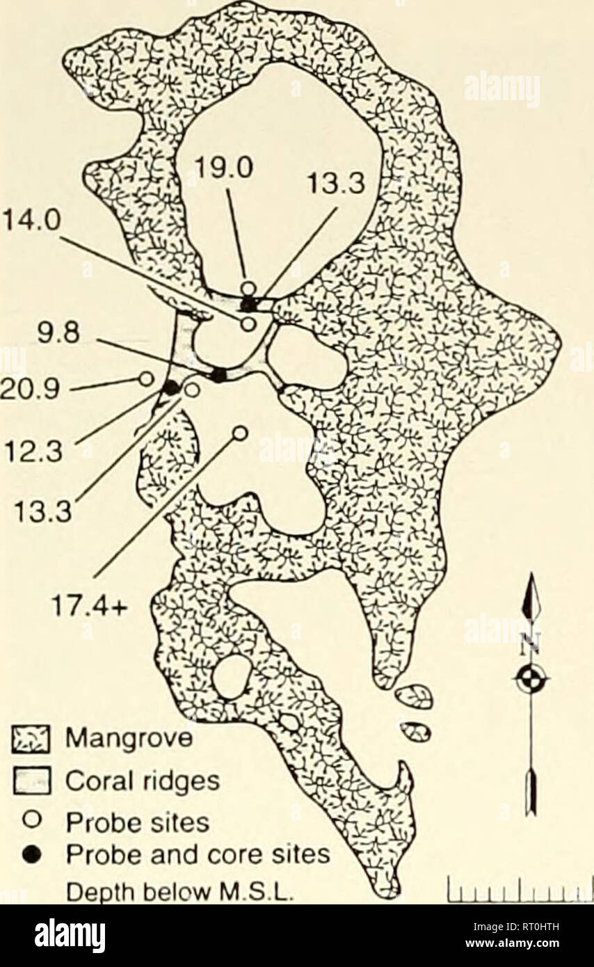 Map of manatee hi-res stock photography and images - Alamy