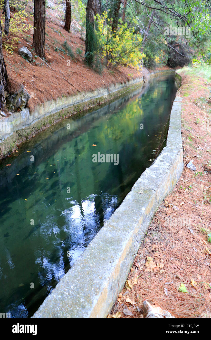Clear water canal in the mountain forest Stock Photo - Alamy