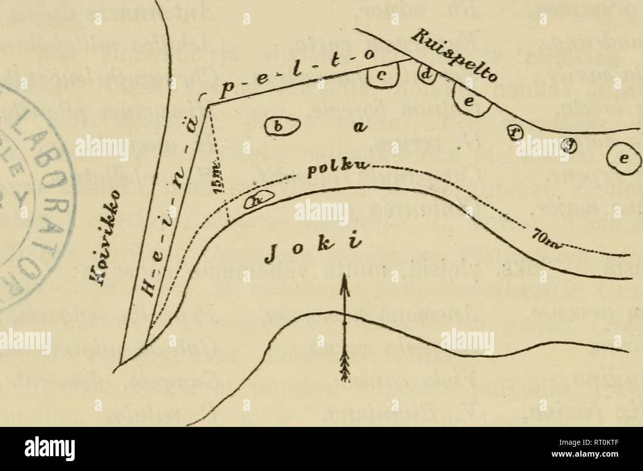 Trichera hi-res stock photography and images - Alamy