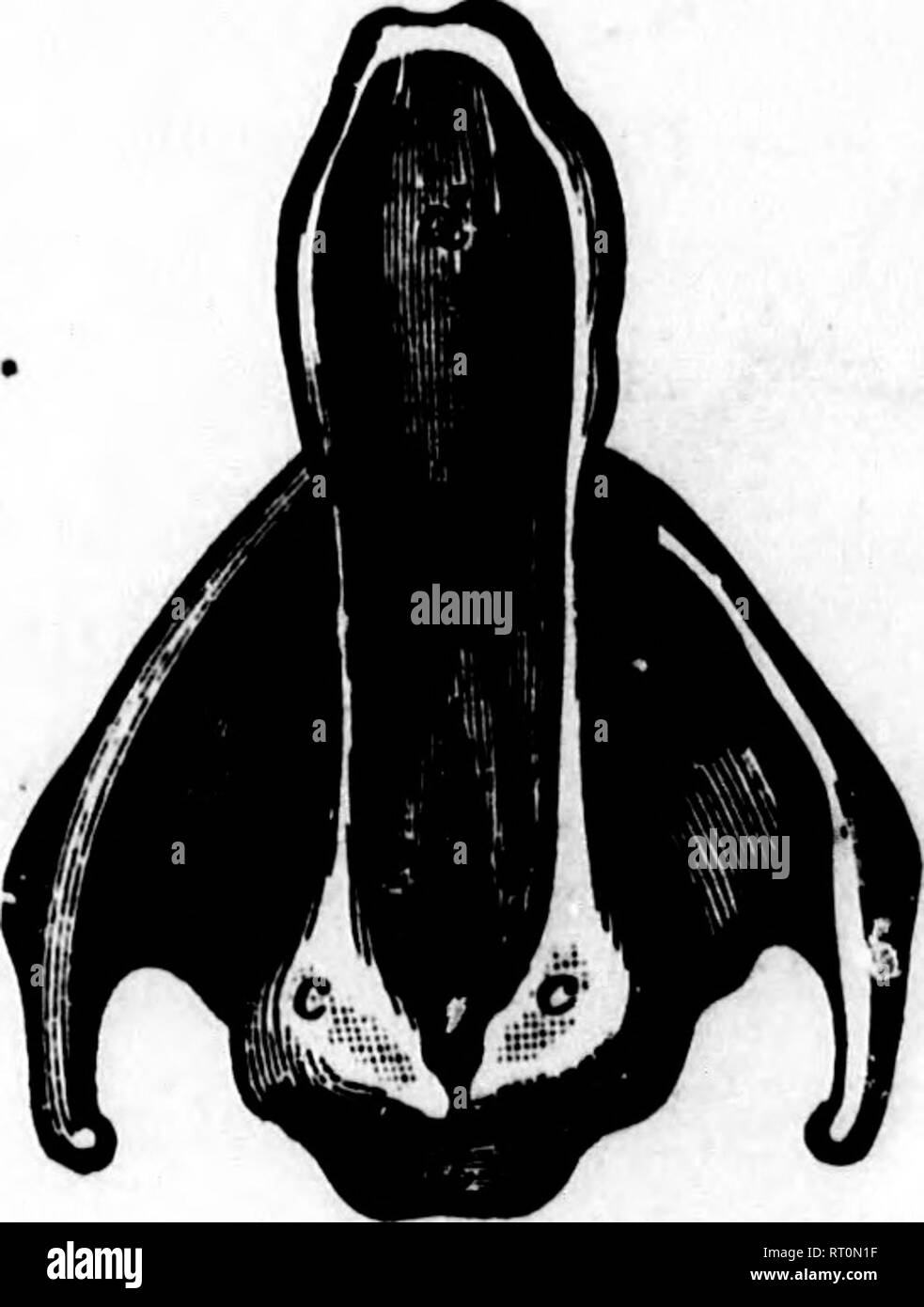 . Public school physiology and temperance [microform]. Physiology ...