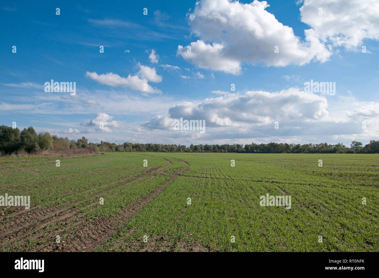 Spring landscape with agricultural fields, farming background Stock ...