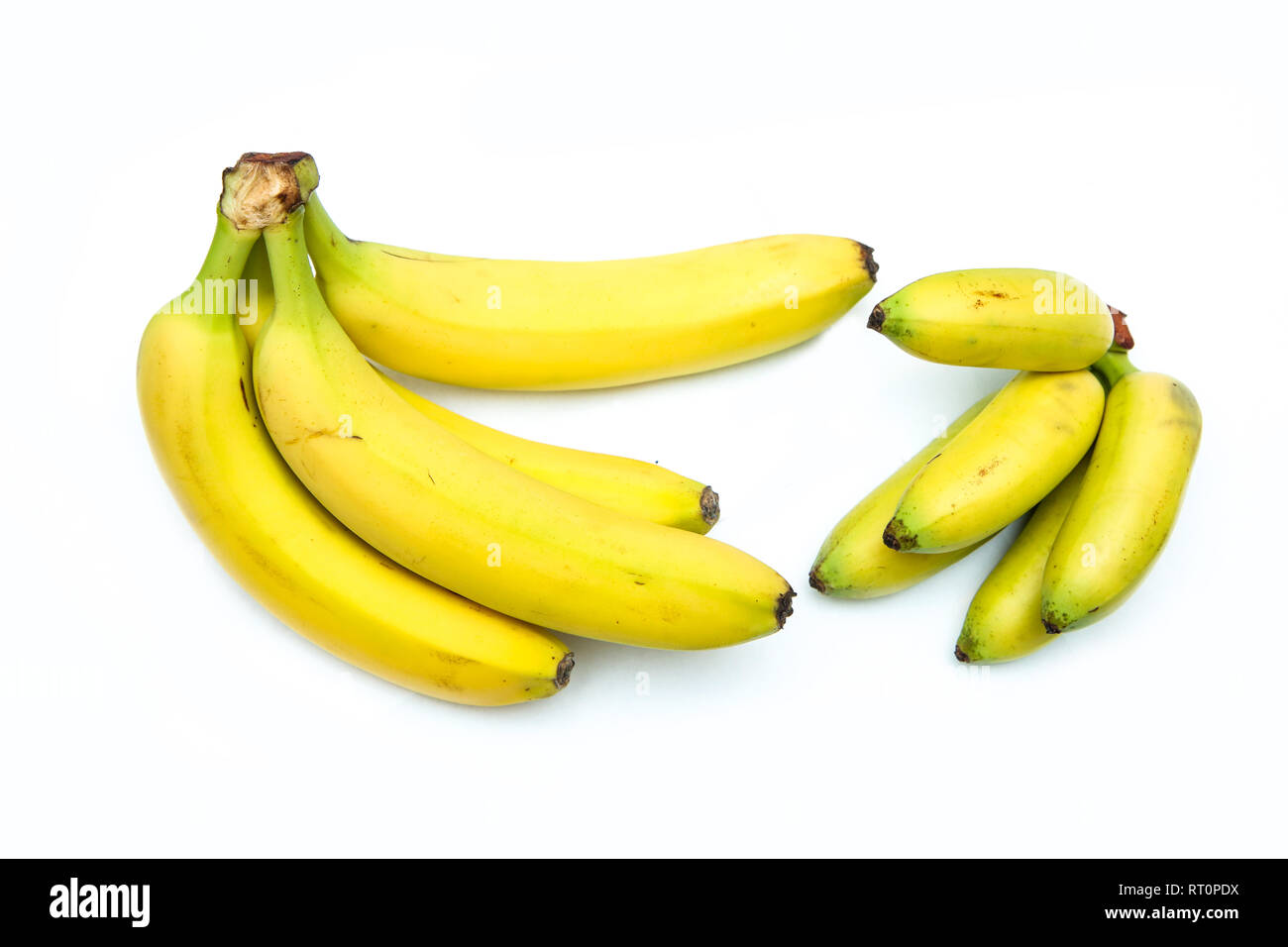 A comparison of two bunches of ripe bananas. One of normal and one of ...