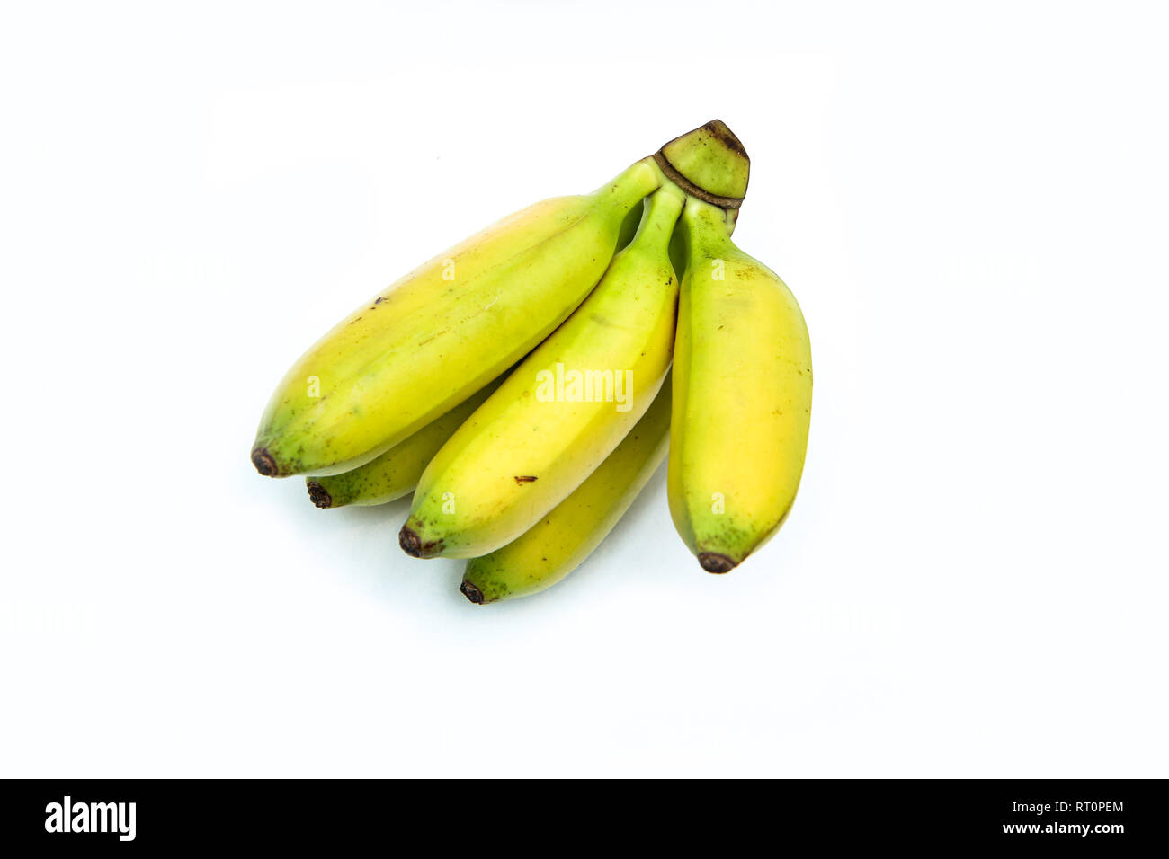 A picture of an usual bunch of baby bananas. They are small and sweet ...