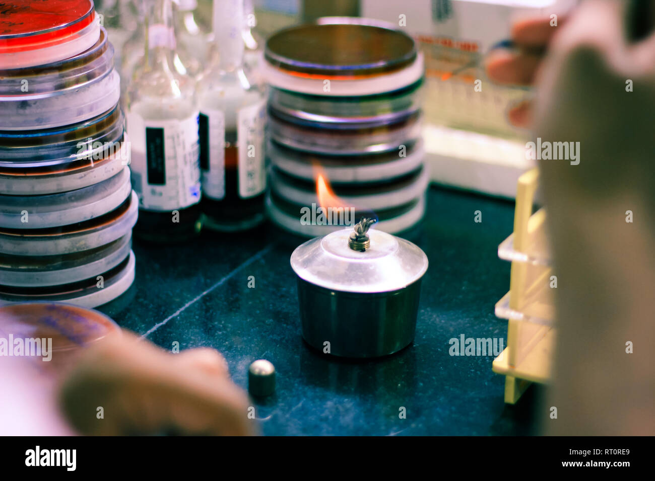 Inoculating loop hi-res stock photography and images - Alamy