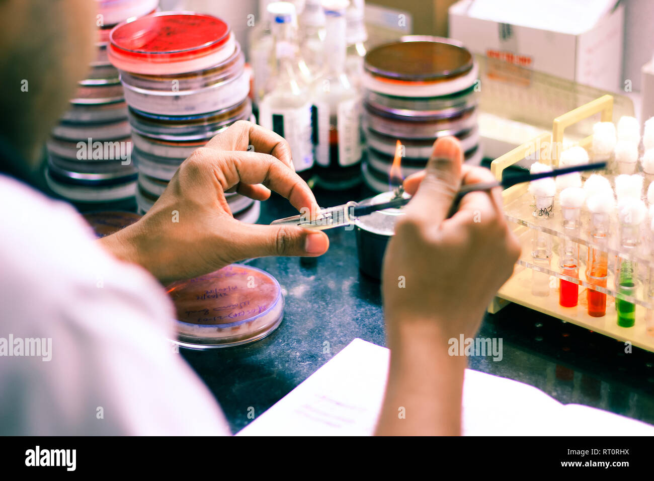 Bacterial Inoculation on a test tube agar culture media using ...