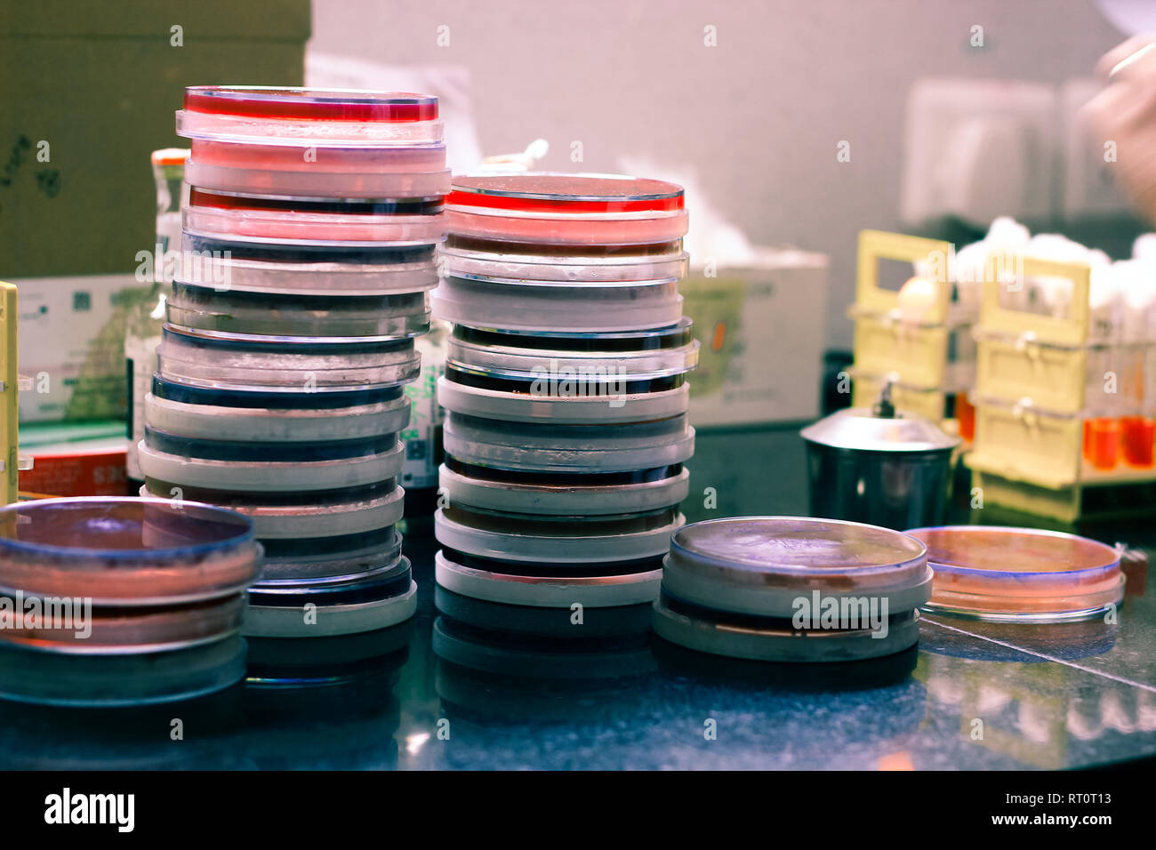 culture media plates stacked vertically on top of each other for colony ...