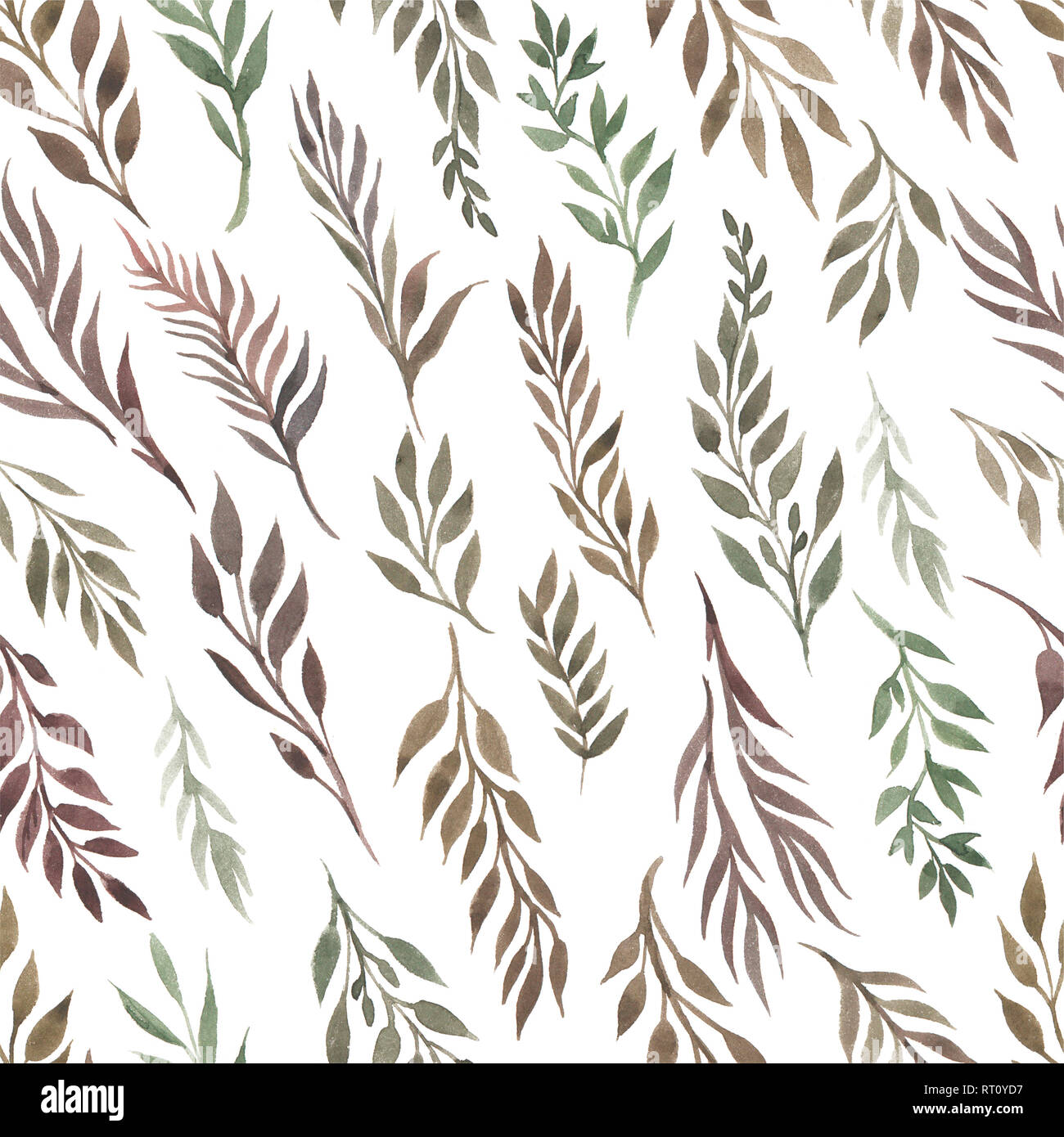 Watercolor herbal organic nature floral illustration seamless pattern ...
