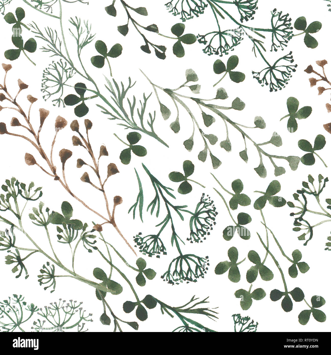 Watercolor herbal organic nature floral illustration seamless pattern ...