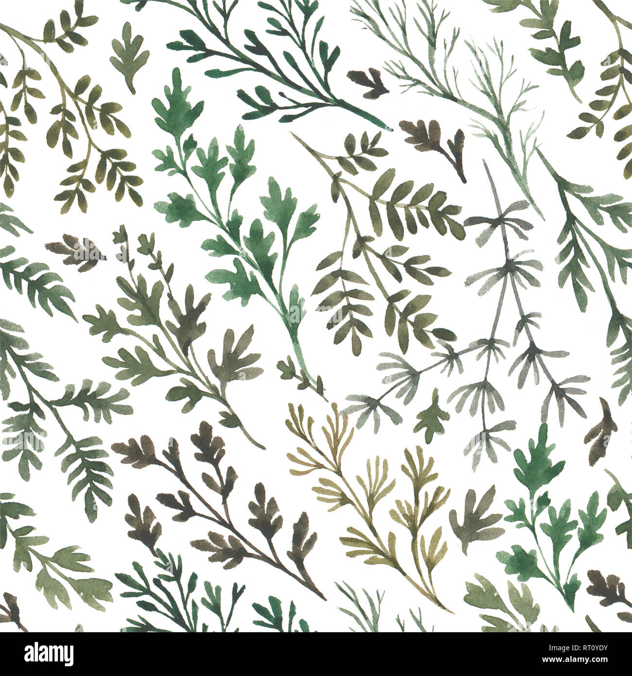 Watercolor herbal organic nature floral illustration seamless pattern ...