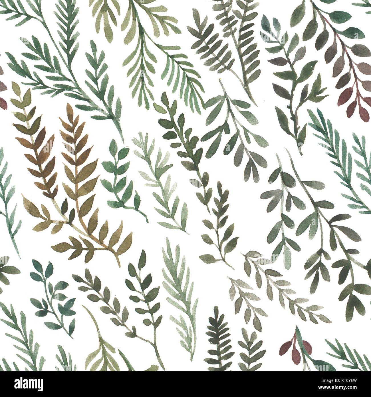 Watercolor herbal organic nature floral illustration seamless pattern ...