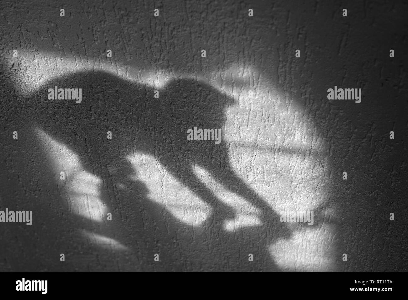 Vet cat in veterinarian Black and White Stock Photos & Images - Alamy