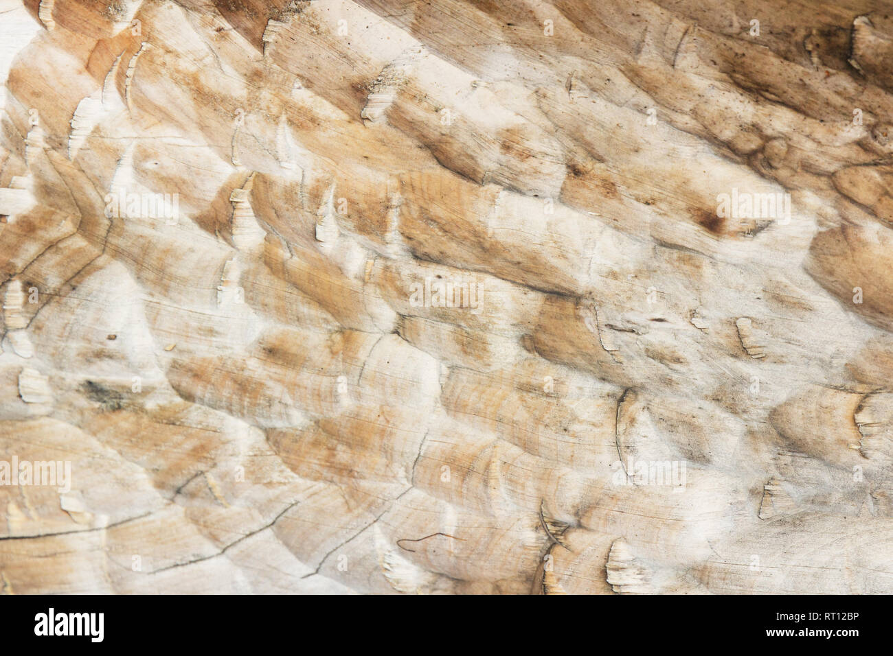 Carved seamless texture hi-res stock photography and images - Alamy