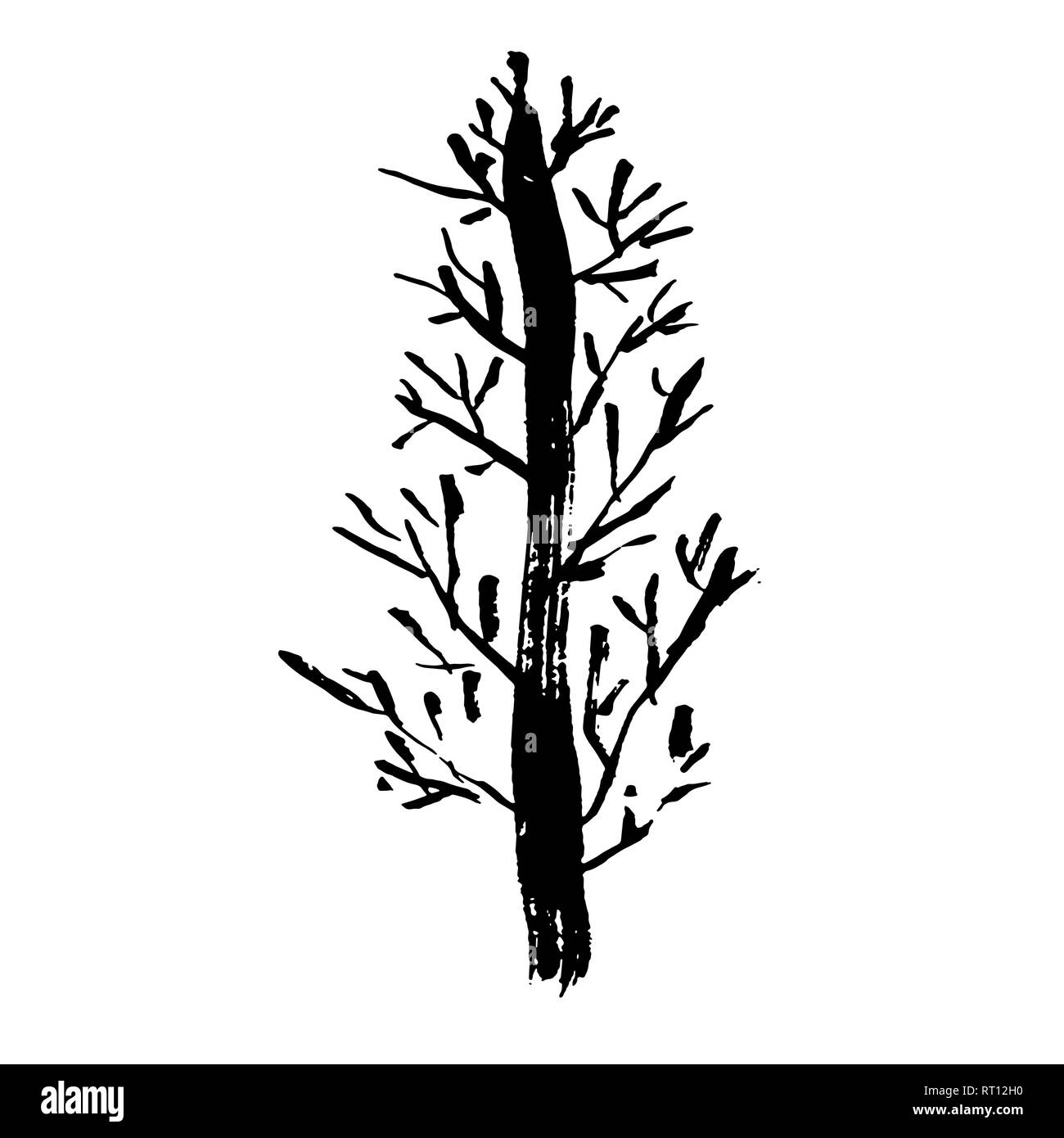 Tree silhouette. Hand drawn vector illustration Stock Vector Image ...