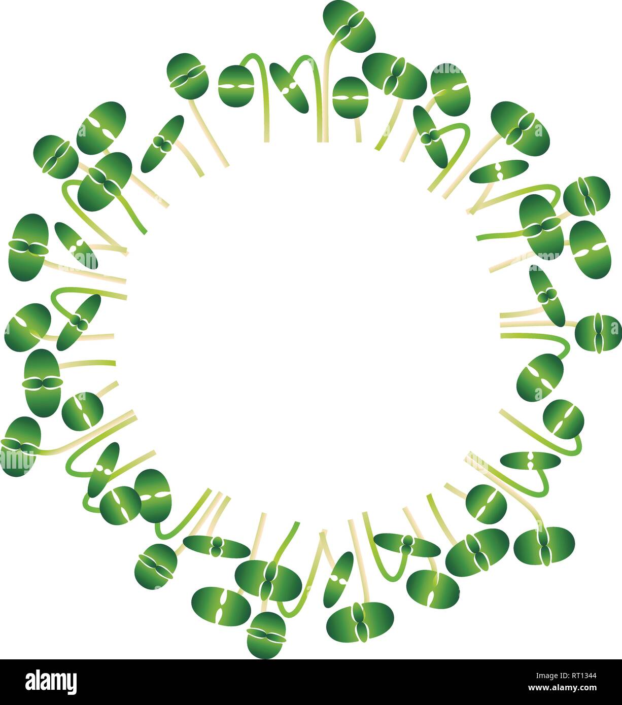 Microgreens Basil. Arranged in a circle. Vitamin supplement, vegan food ...