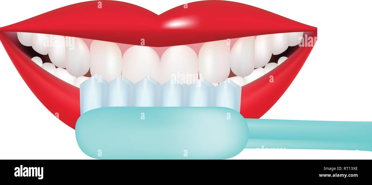 Vector image on a white background. How to brush your teeth rightly ...