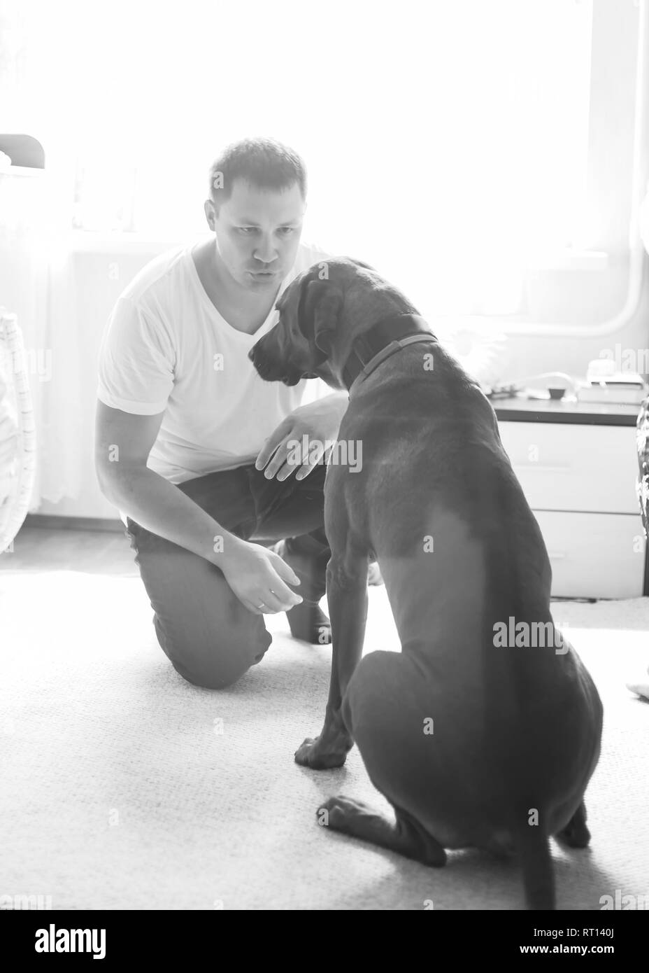 Portrait of man and pet dog looking at each other hi-res stock ...