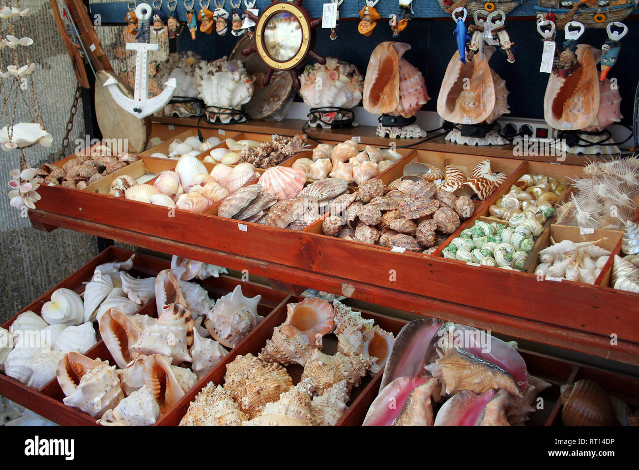 snail shells and other souvenirs in the market in Croatia Stock Photo ...