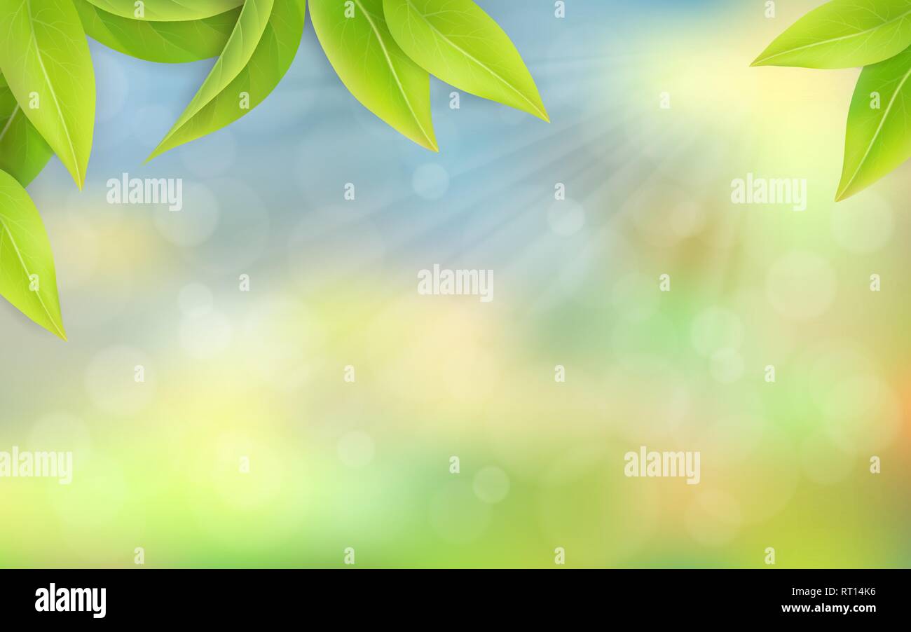 Lush green leaves natural Stock Vector Images - Alamy
