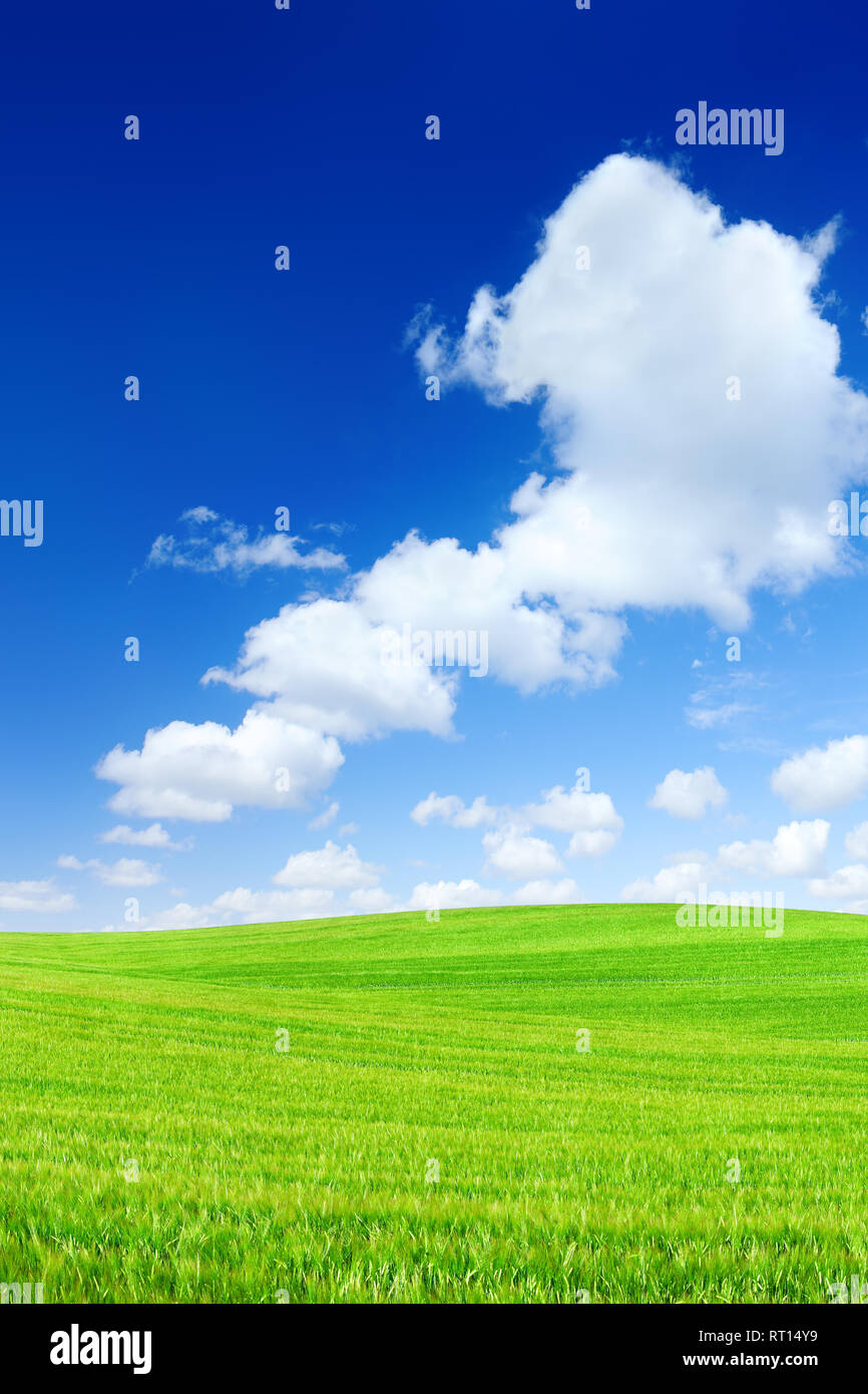 Idyllic spring landscape, rolling green fields, blue sky and white ...