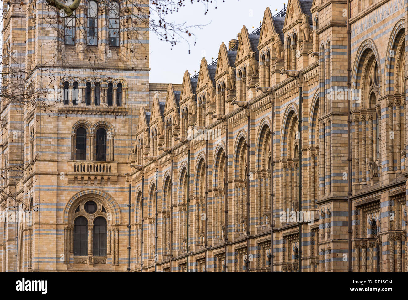 Exterior architectural detail of the Natural History Museum building ...