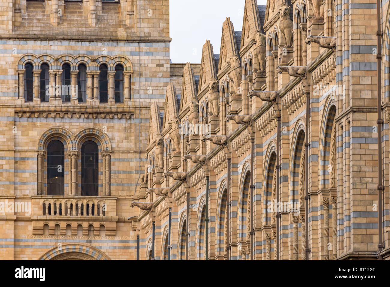 Exterior architectural detail of the Natural History Museum building ...