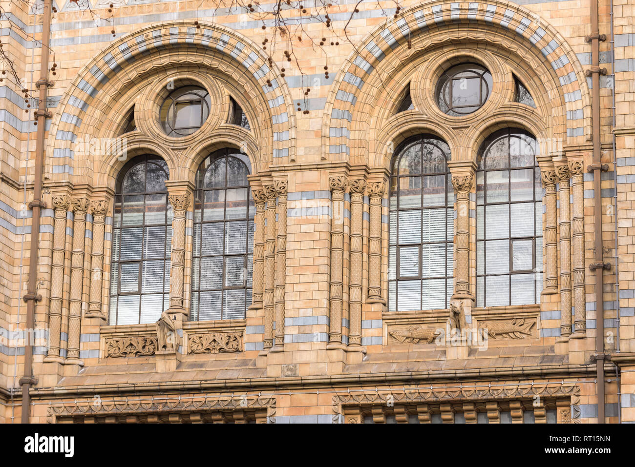 Exterior architectural detail of the Natural History Museum building ...