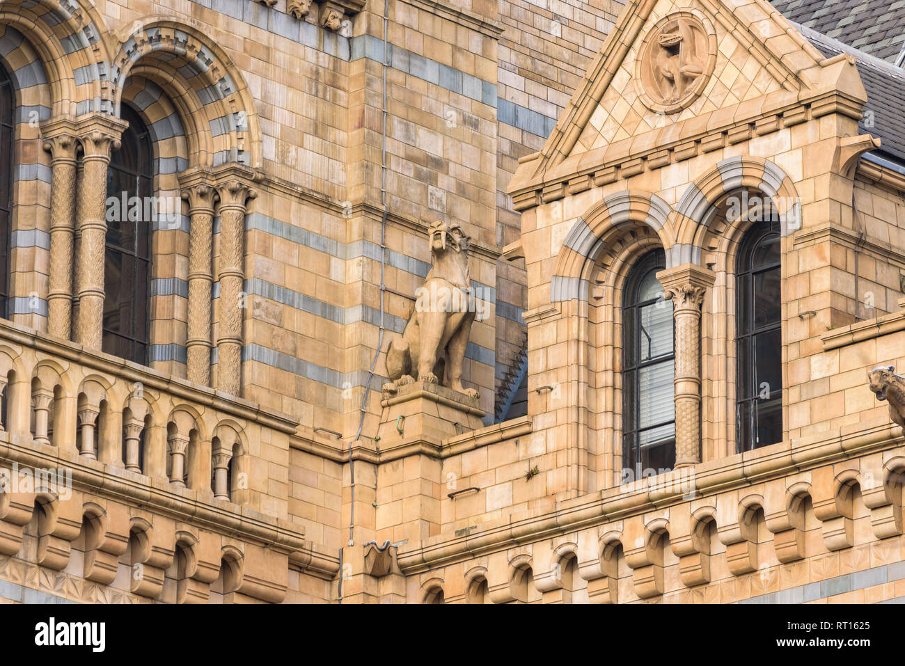 Exterior architectural detail of the Natural History Museum building ...