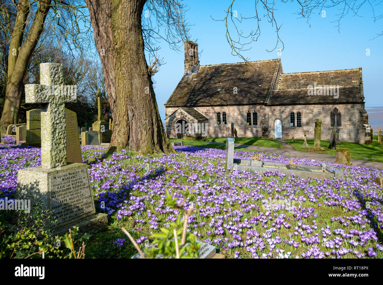 000 crocuses hi-res stock photography and images - Alamy