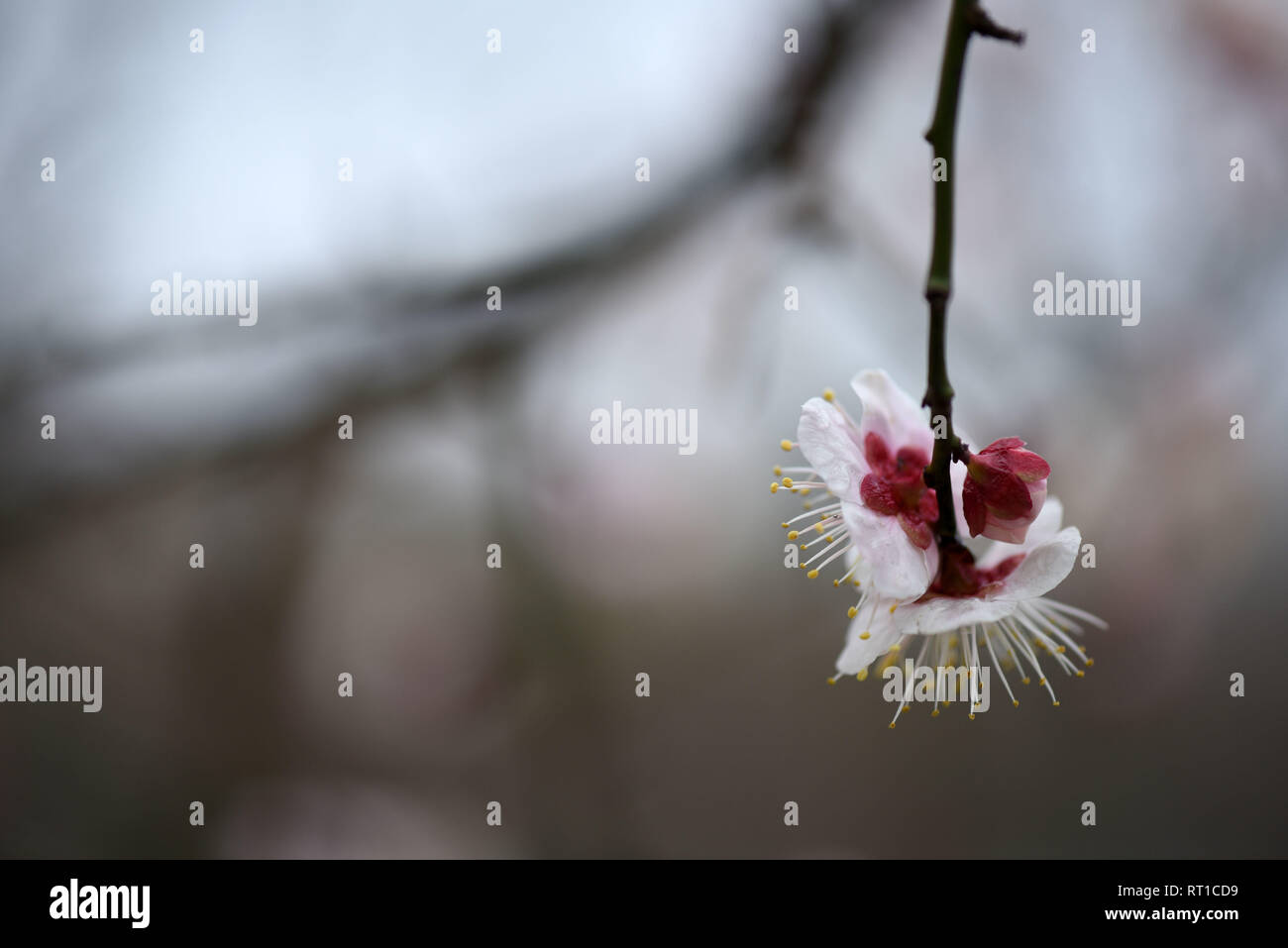 February 28, 2019 - Huai'An, Huai'an, China - HuaiÃ¢â‚¬â„¢an, CHINA ...