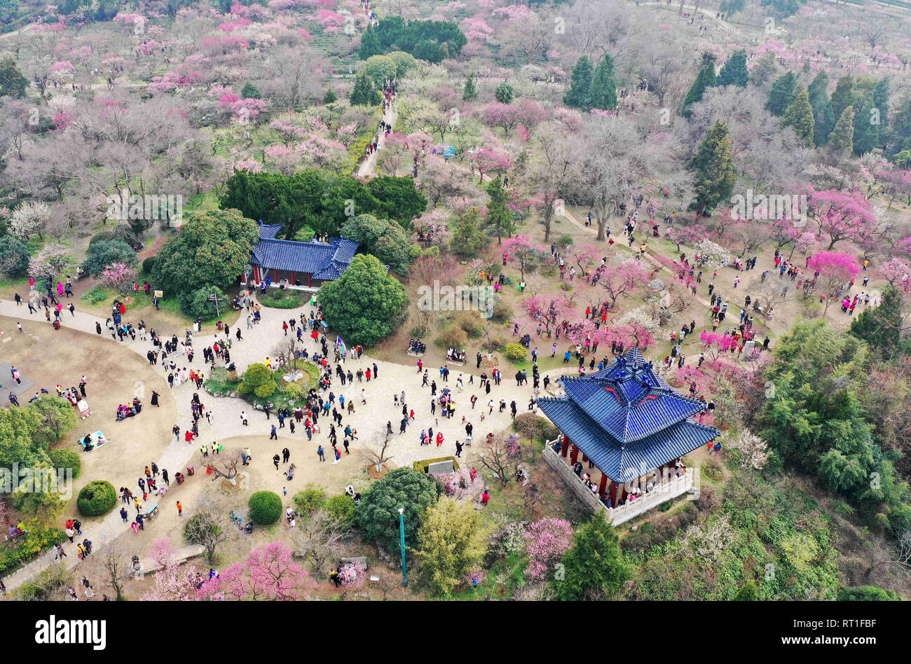 February 28, 2019 - Nanjin, Nanjin, China - Nanjing,CHINA-People enjoy ...