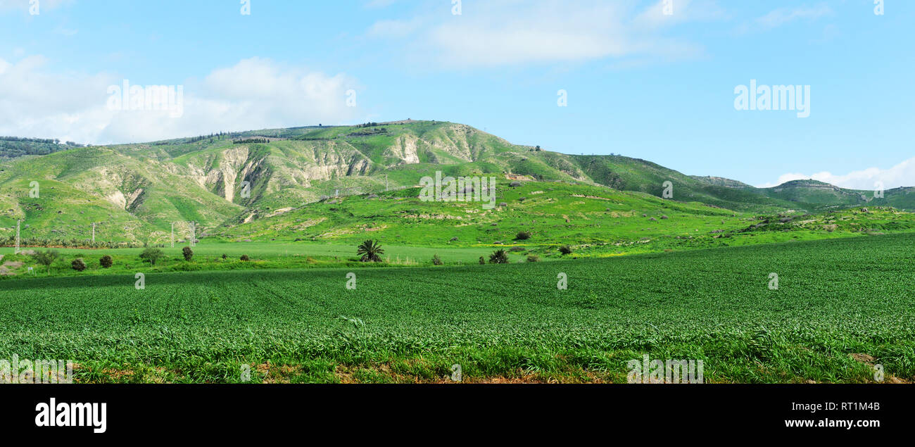 Green landscapes in northern Israel Stock Photo - Alamy