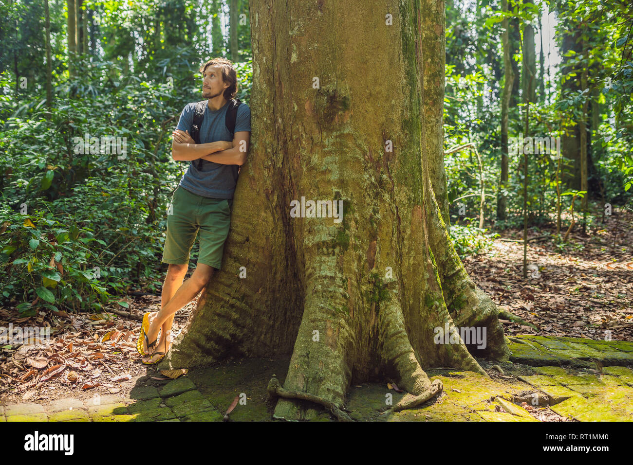 A man near a huge tree. The roots of an old tree, bali. Travel ...