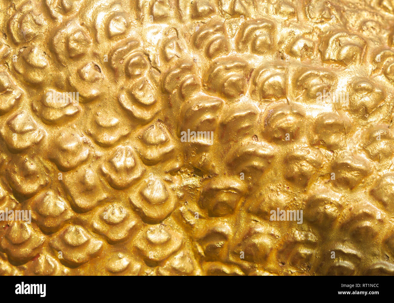 Dragon Scales Close Up