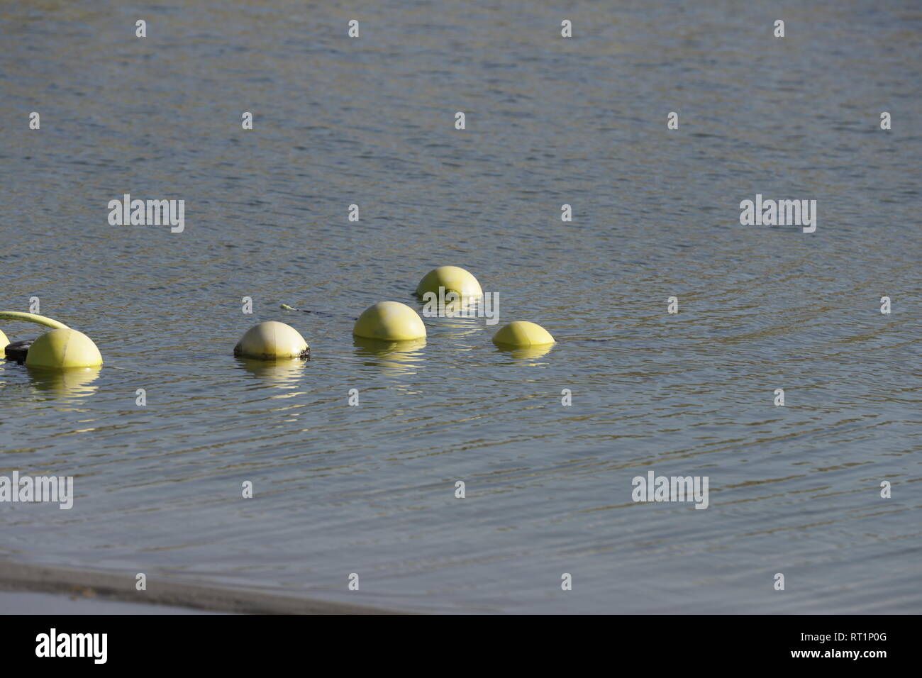 Floaters at the shore and on the water Stock Photo - Alamy