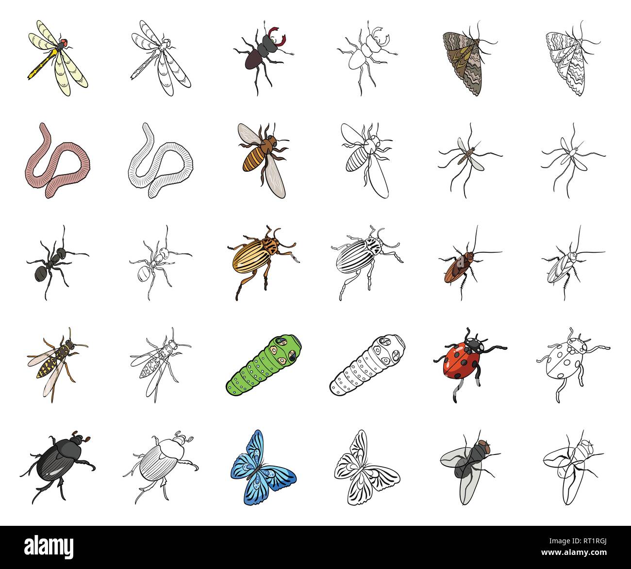 Invertebrates Arthropods Drawing