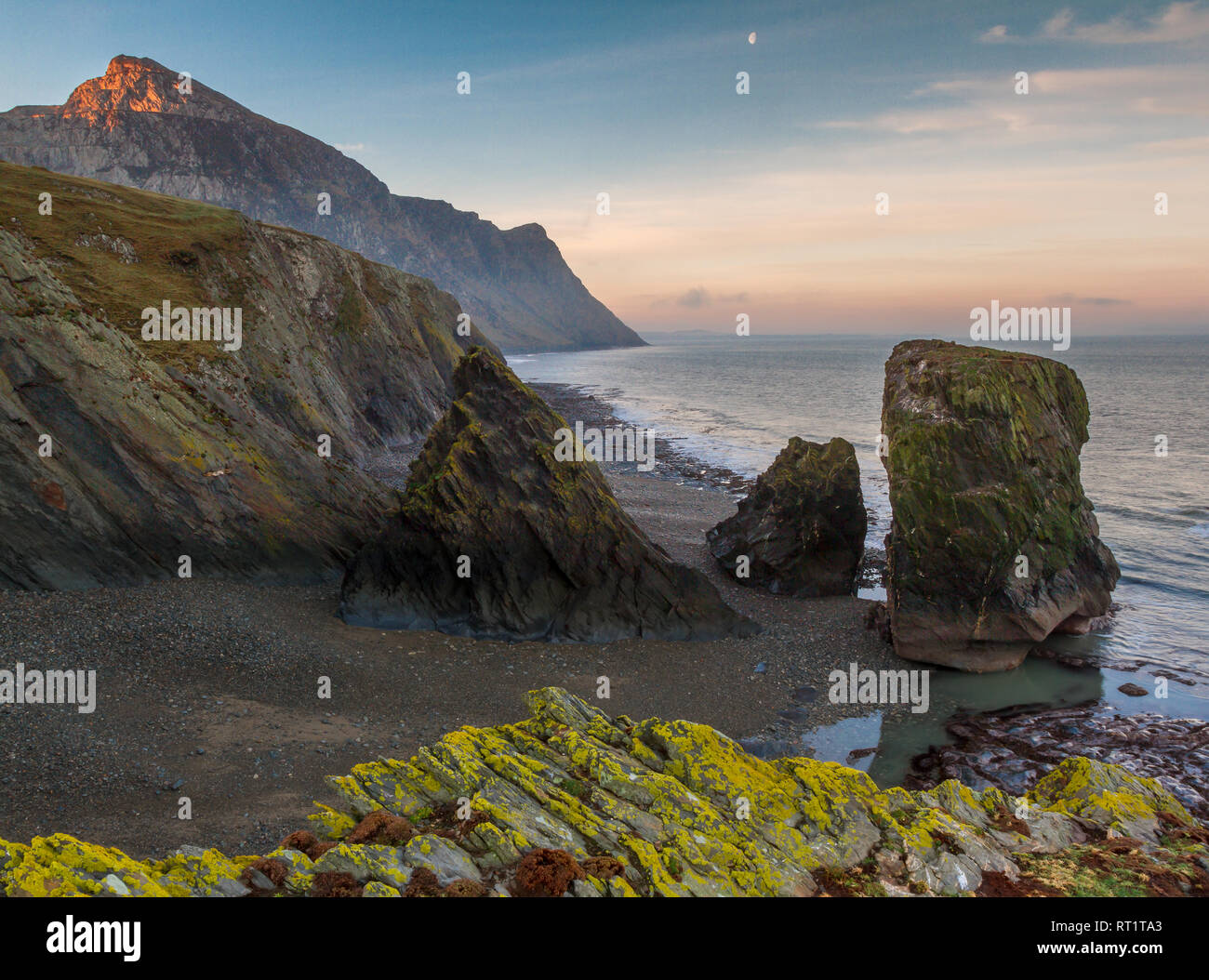 Sea stacks at Trefor on the Llyn Peninsula, Wales, at dawn Stock Photo ...